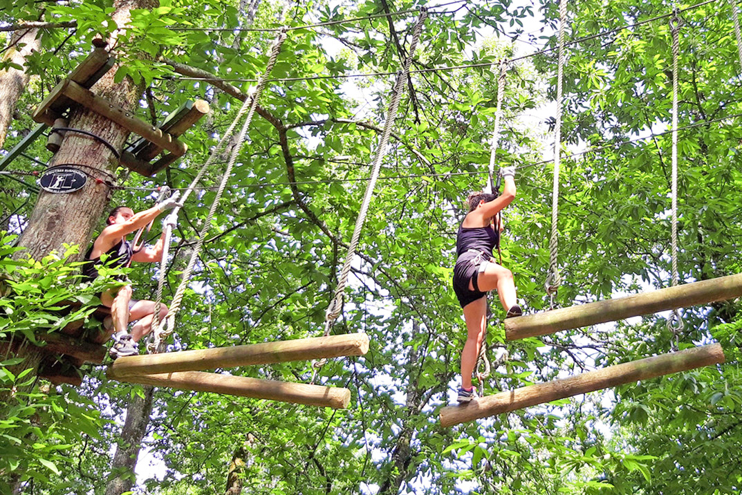 Tree climbing course and other sports activities Francecomfort Holiday parks